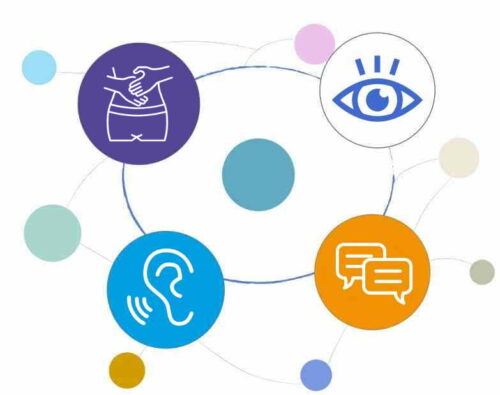 Over KIMIWA - Kimiwa